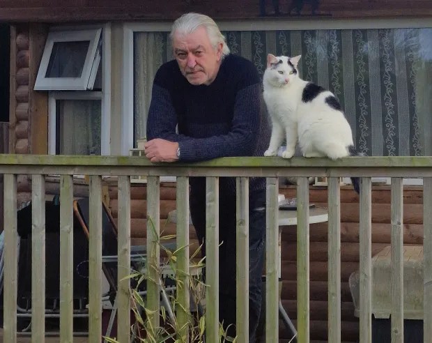 I’ve been ordered to tear down log cabin I built on my own land or face ...