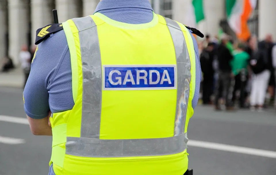 23 Romanian criminals serving jail terms Deported from Ireland as ...