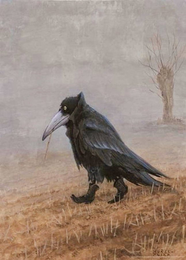 A crow can recall every route it has ever taken… crows are messengers ...